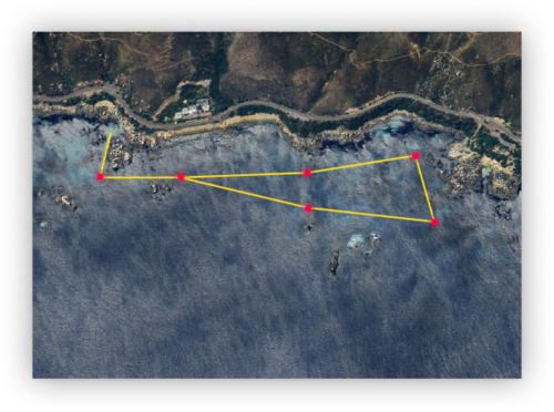 36ONE VIKING SWIM - Cape Long Distance Swimming Association